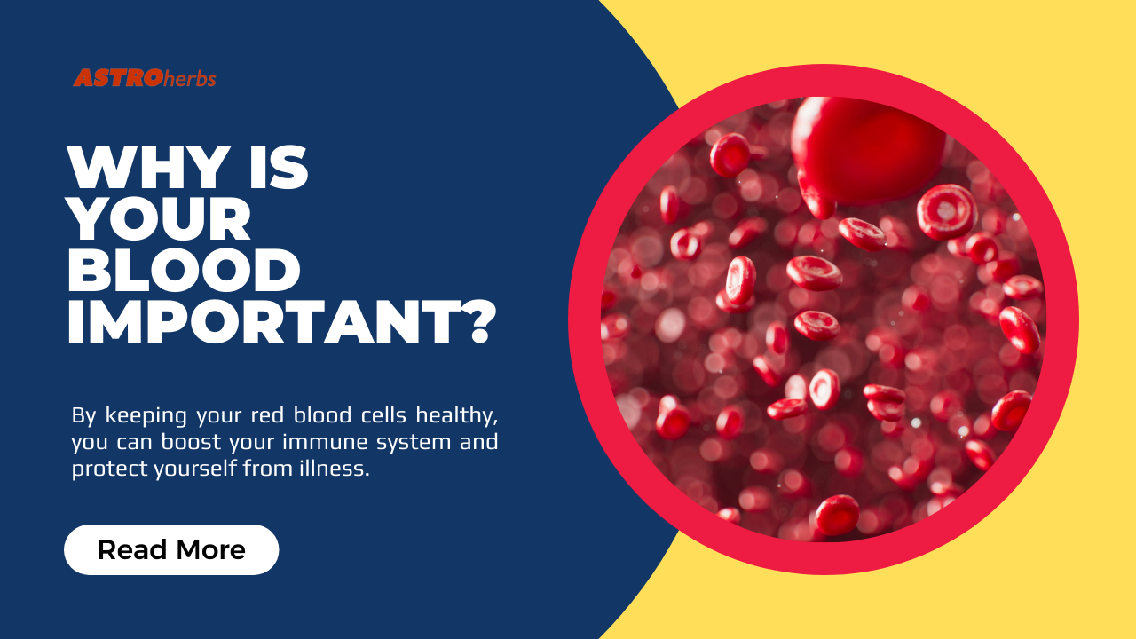 Why is Your Blood So Important? – ASTROherbs
